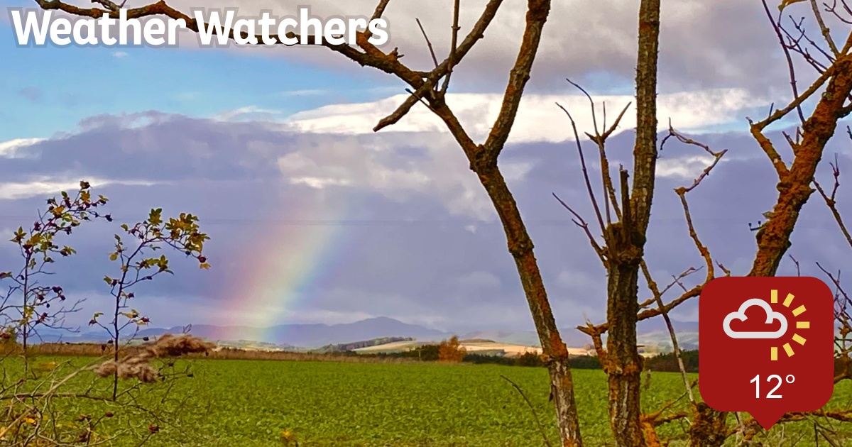 Report - BBC Weather Watchers