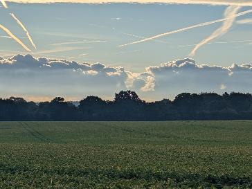 Slough - BBC Weather