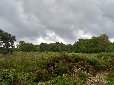 Warrington - BBC Weather