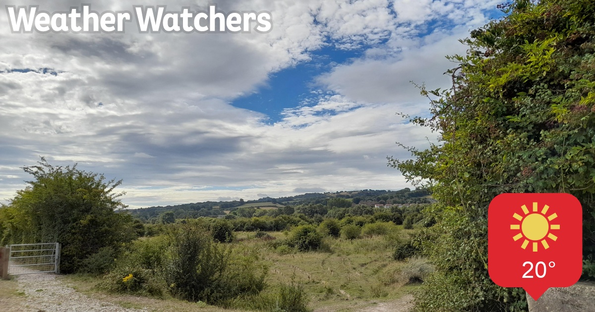 Report - BBC Weather Watchers