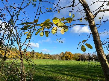 Northampton - BBC Weather