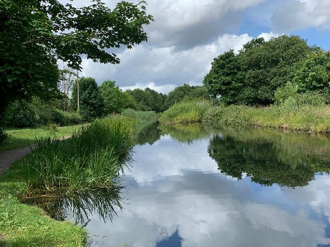 Report - BBC Weather Watchers