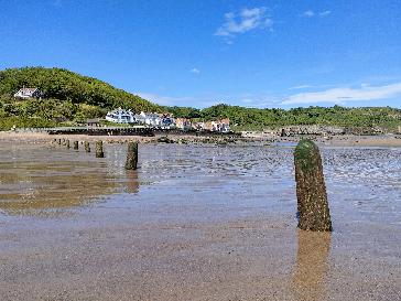 Harrogate - BBC Weather