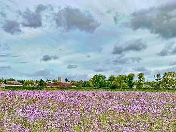 Immingham - BBC Weather