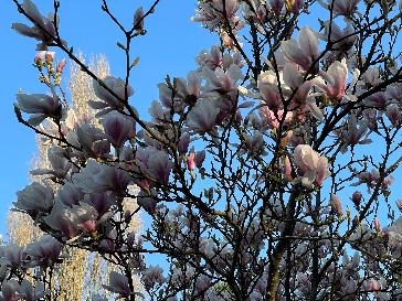 Evesham - BBC Weather