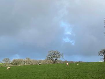 St Austell - BBC Weather