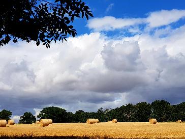 Norwich - BBC Weather