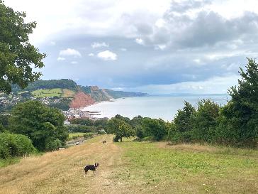 Brixham - BBC Weather