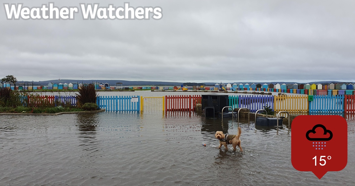 Report - BBC Weather Watchers