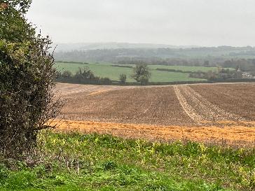 Southampton - BBC Weather