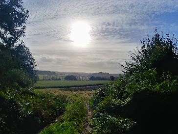 Halesowen - BBC Weather