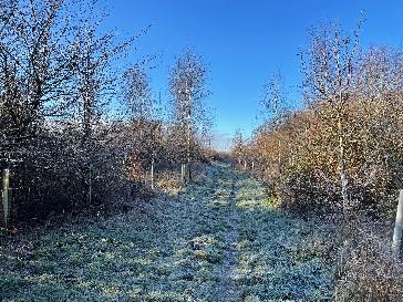 Devizes - BBC Weather