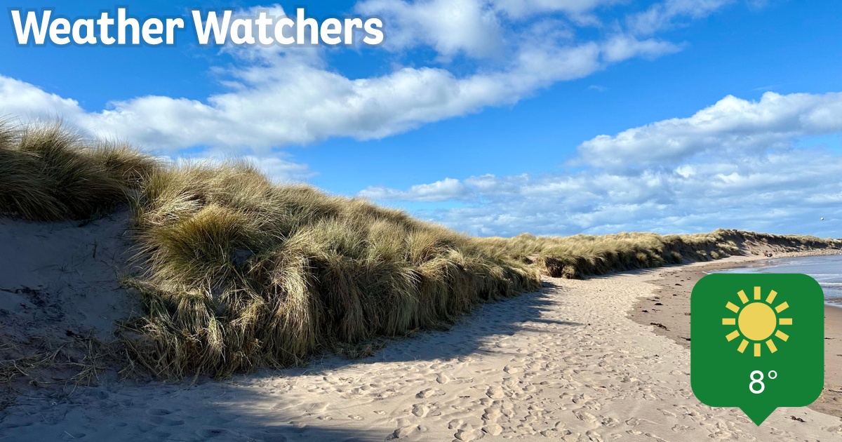 Report - BBC Weather Watchers