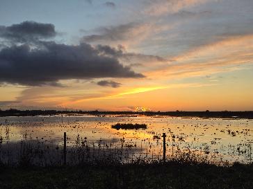 Widnes - BBC Weather