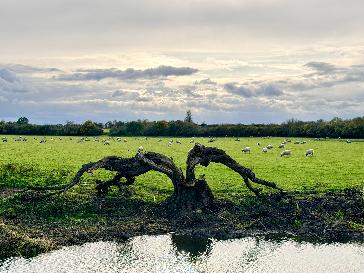 Slough - BBC Weather