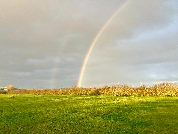 Stamford - BBC Weather