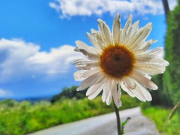 Pershore - BBC Weather