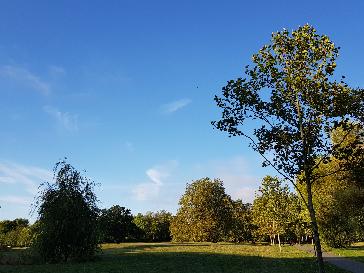 Romford - BBC Weather