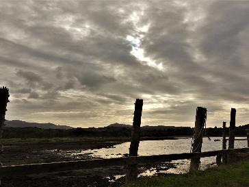 Hamilton - BBC Weather