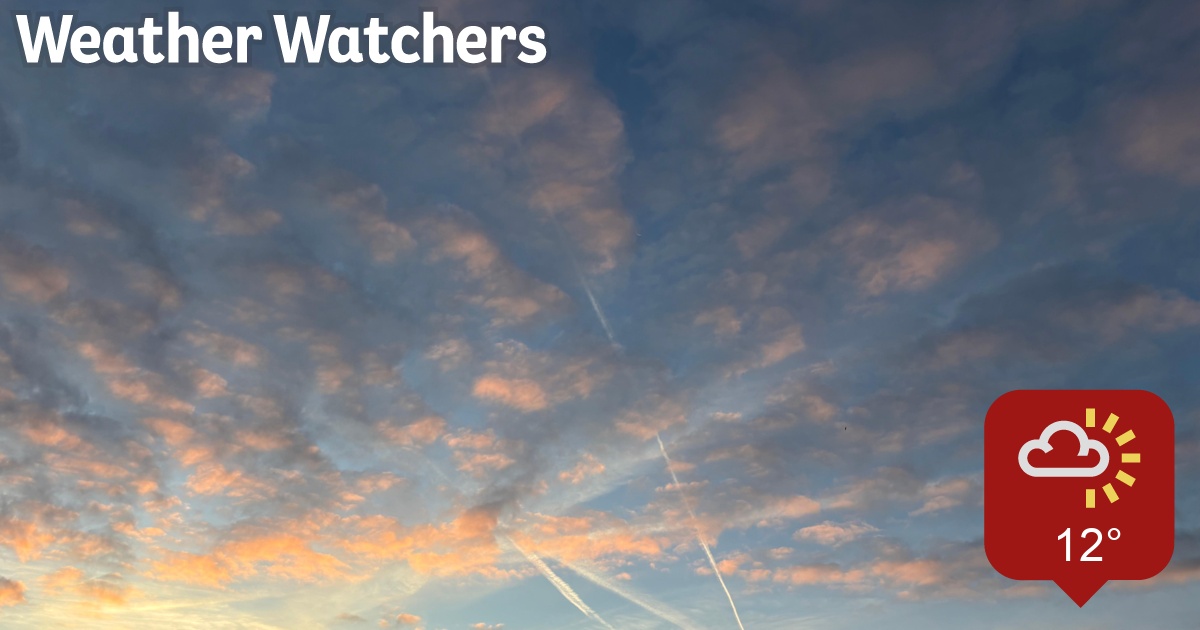 Report - BBC Weather Watchers