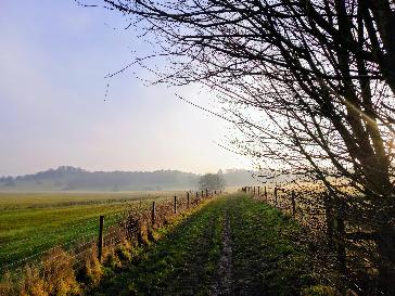 Banwell Castle - BBC Weather