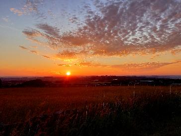 Sheffield - BBC Weather