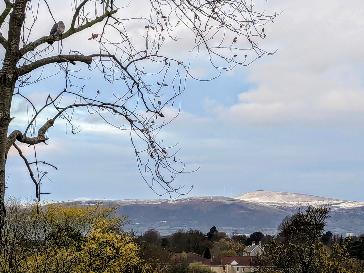 Bangor - BBC Weather