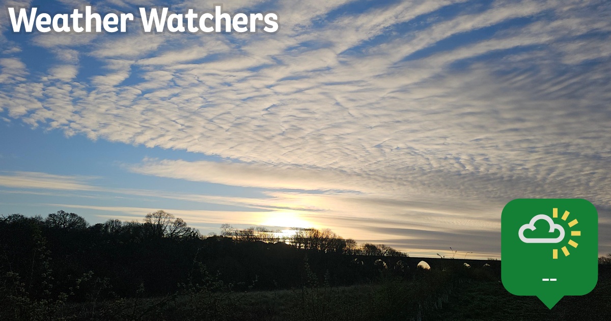 Report - BBC Weather Watchers