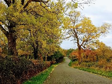 Hinckley - BBC Weather