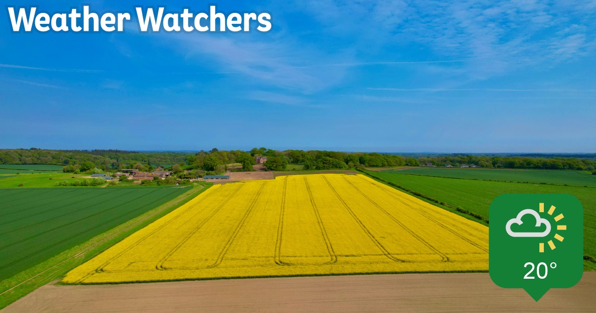 Report - BBC Weather Watchers