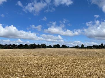 Basildon - BBC Weather