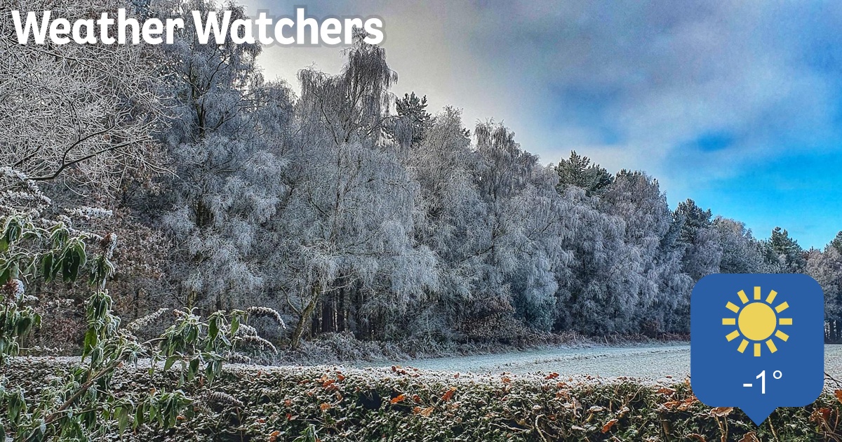 Report - BBC Weather Watchers