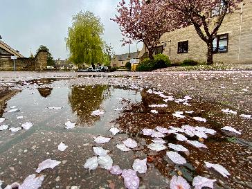 Cambridge - BBC Weather