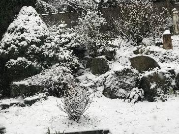 Tyldesley - BBC Weather