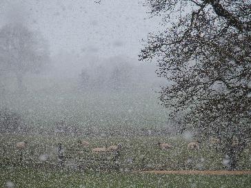 Chester - BBC Weather