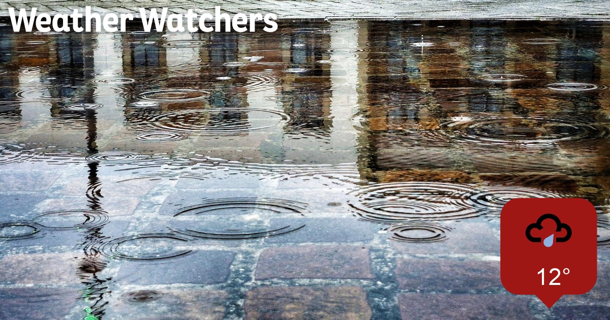 Report - BBC Weather Watchers