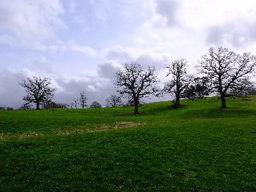 Warminster - BBC Weather