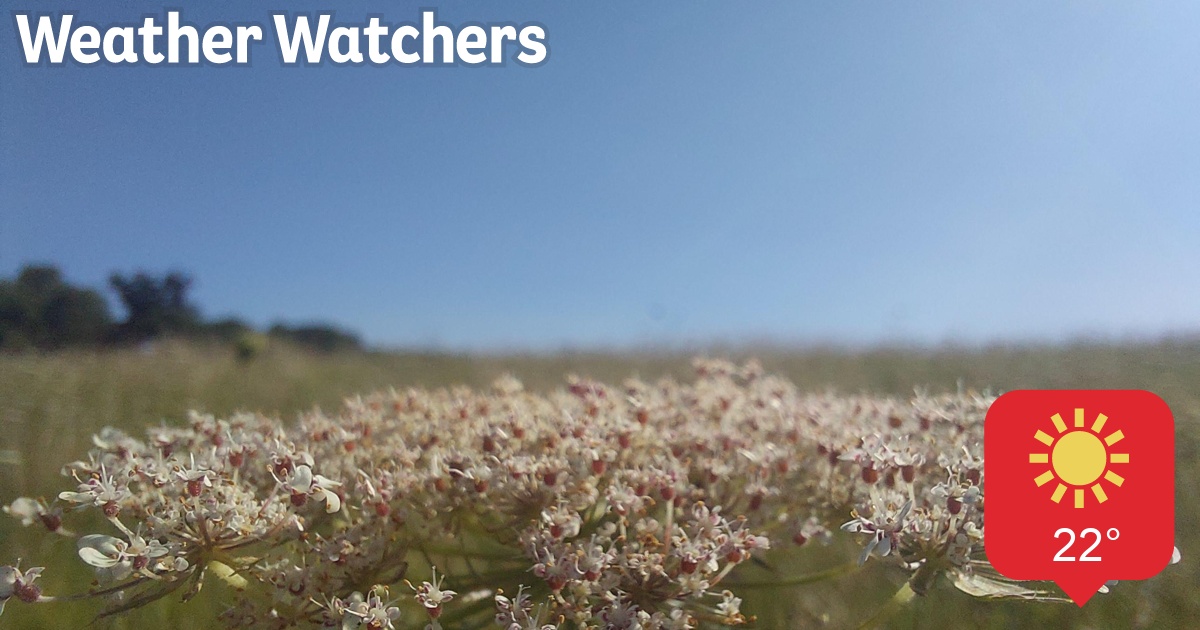 Report - BBC Weather Watchers