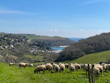 Brixham - BBC Weather