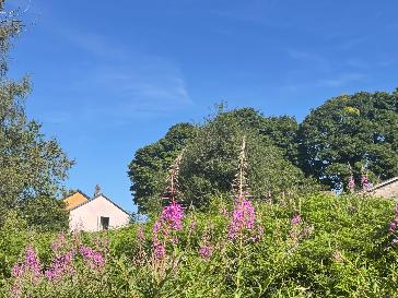 Bargoed - BBC Weather