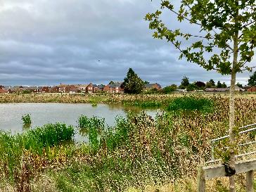 Nuneaton - BBC Weather