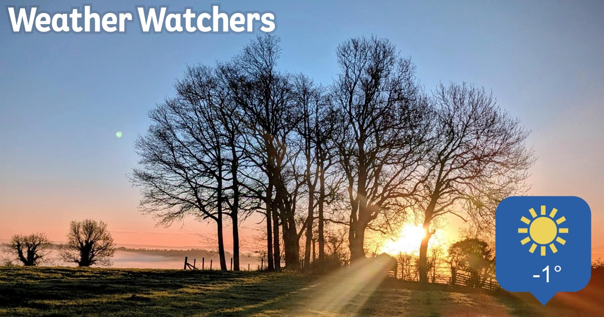 Report - BBC Weather Watchers