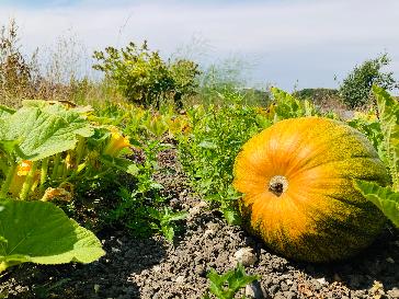 Swindon - BBC Weather