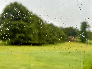 Falkirk - BBC Weather