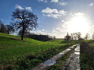Belper - BBC Weather