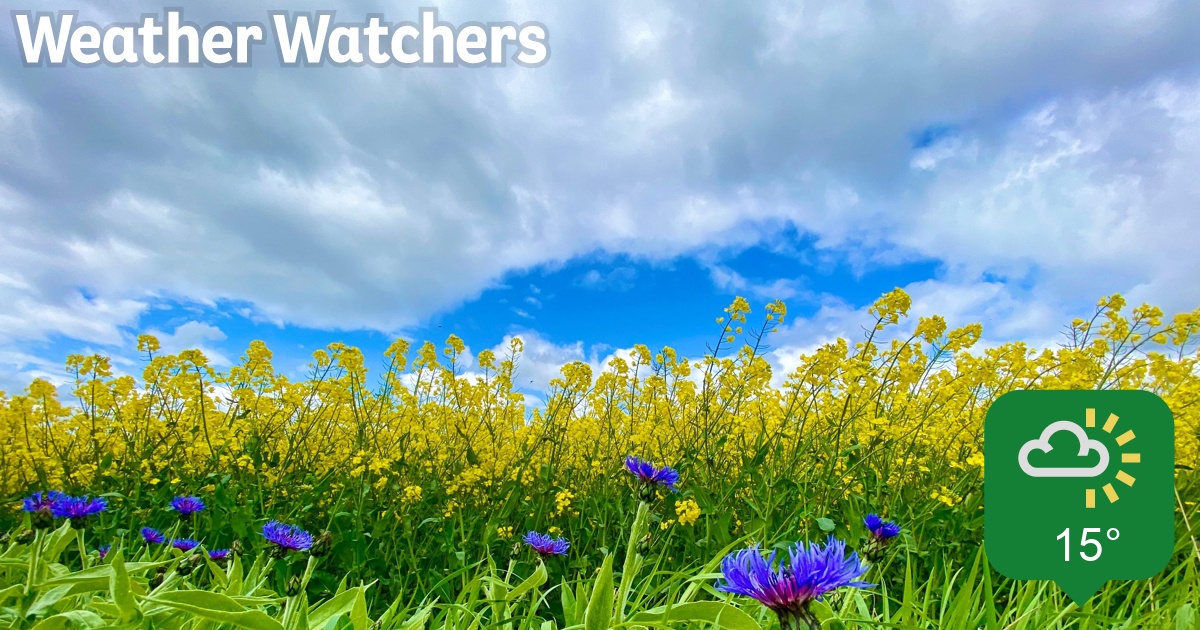 Report - BBC Weather Watchers