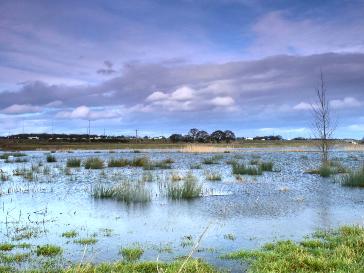 Doncaster - BBC Weather
