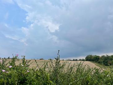 Folkestone - BBC Weather