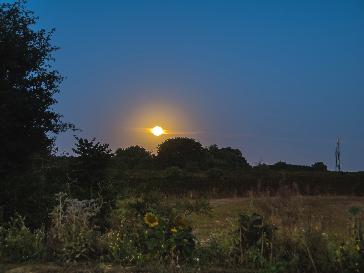 Guernsey Airport - BBC Weather