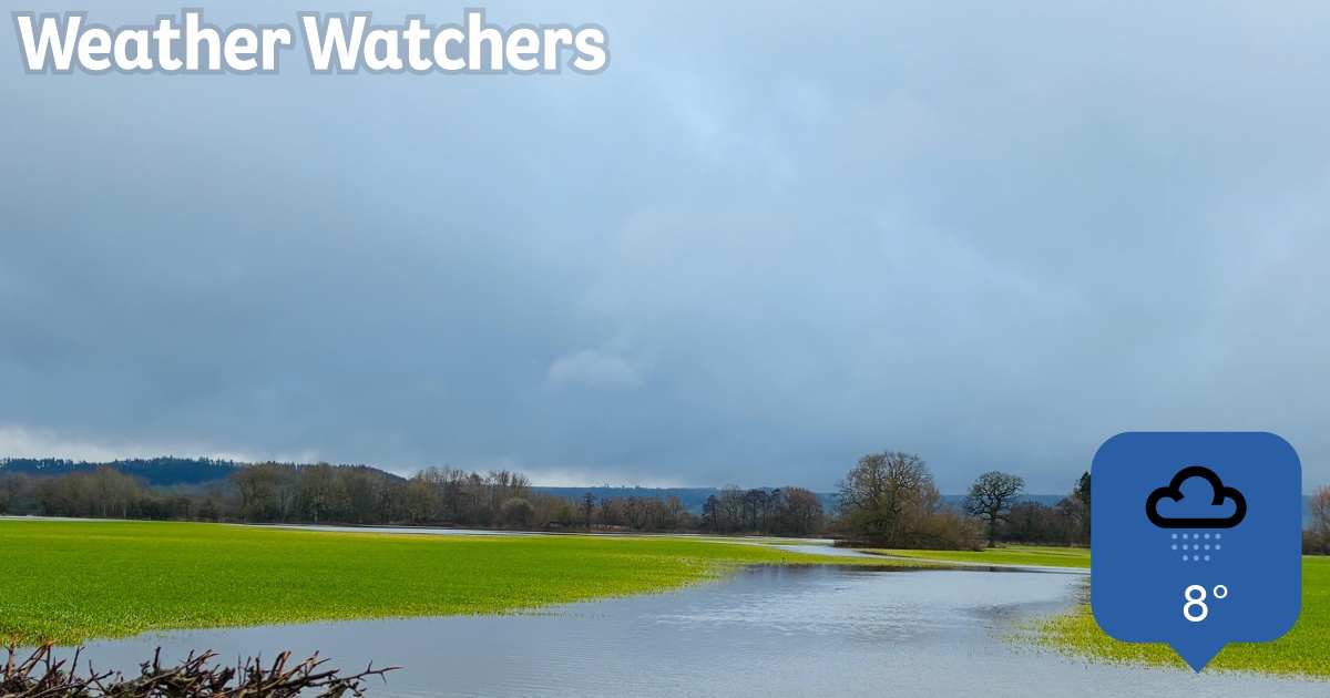 Report - BBC Weather Watchers